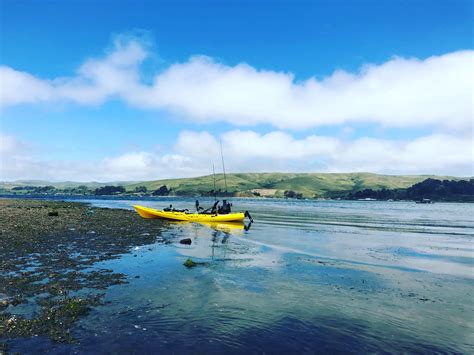Tomales Bay Kayak Rental At Arthur Dwyer Blog