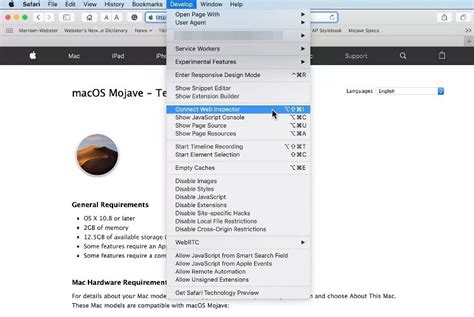 How To Activate The Iphone Debug Console Or Web Inspector