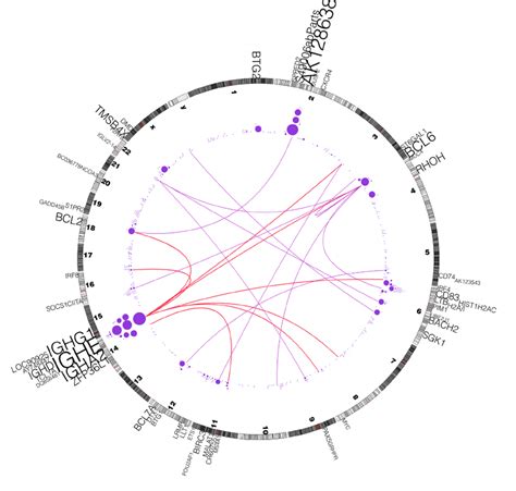 Correlation Between Mutations And Rearrangements Distribution Of Download Scientific Diagram