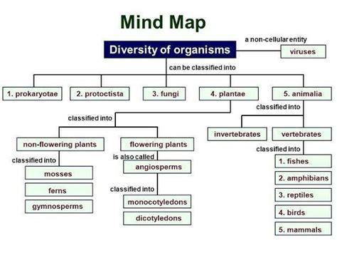 Hey People Really Need A Mind Map Of Diversity Class 9…