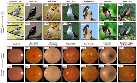 Explain In Diffusionexplaining A Classifier Through Hierarchical Semantics With Text To Image