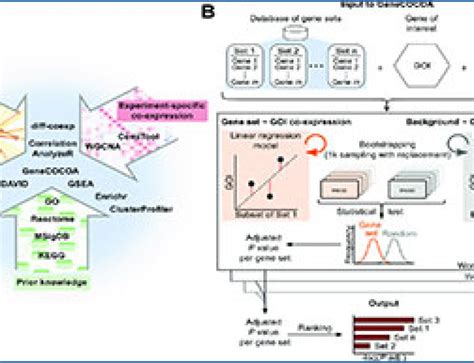 idep an integrated web application for differential expression and