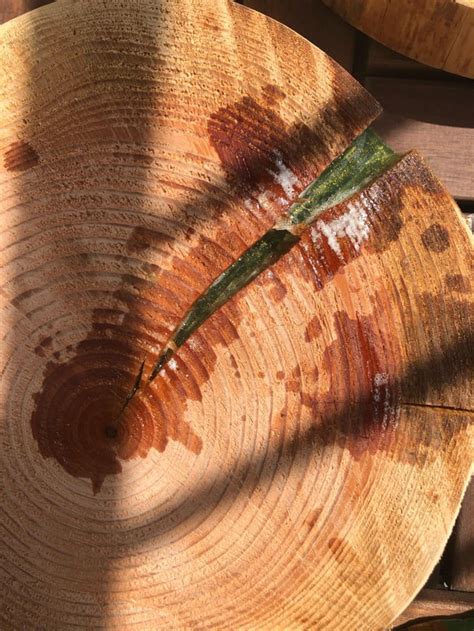 Failed Project Suggestions Appreciated Repoxy