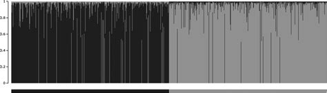Structure Bar Plot Representing The Individual Ancestry Coefficients