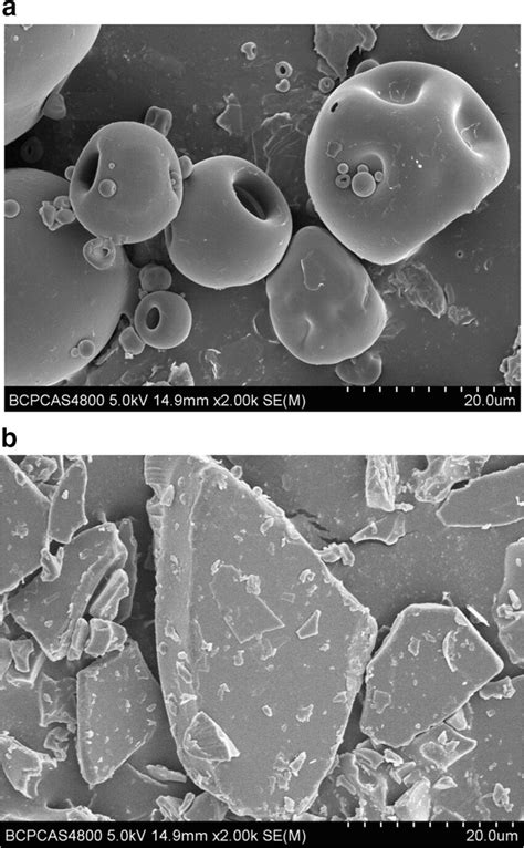 Scanning Electron Micrographs Of Spray Dried A And Freeze Dried Egg