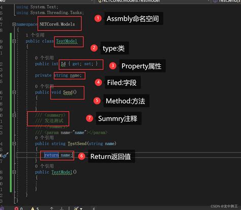 C 反射的终点：typemethodinfopropertyinfoparameterinfosummryc