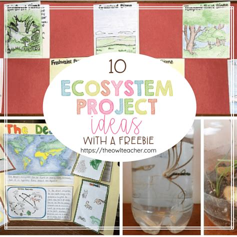 Science Fair Projects For 8th Grade Physical Science