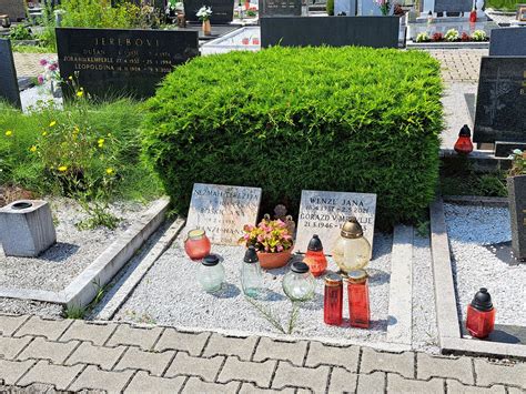 Gorazd Vojteh Mrevlje Slovenski Grobovi