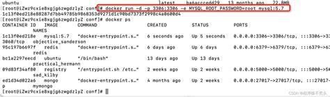 使用docker启动mysql成功后，使用docker Ps查不到问题解决方法！docker Ps 看不到的进程 Csdn博客