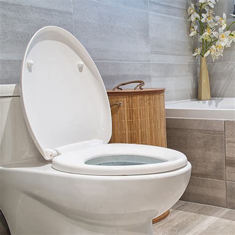 The Toilet Seat Buying Guide Qs Supplies