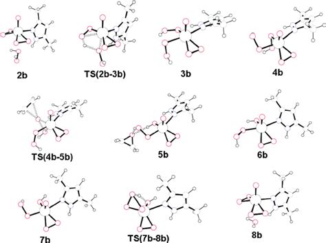 Structures Of The Intermediates And Transition States In The