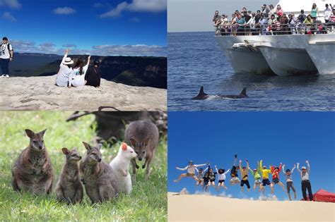 시드니 2days 할인콤보 A 블루마운틴 국립공원 투어 And 포트스테판 돌핀크루즈 사막 투어 Kkday