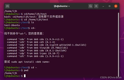 虚拟机ubuntu操作系统最基本终端命令（安装包 详细解释 详细演示） ubuntu终端 csdn博客