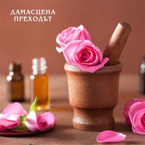 Начало Етнографски комплекс Дамасцена Събития