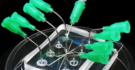 Microfluidics Lab On A Chip A Revolution In Miniaturized Diagnostics Microfluidics Lab On A Chip A Revolution In Miniaturized Diagnostics