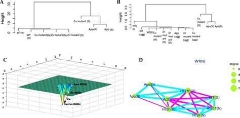 A Cluster Dendrograms Constructed Using Euclidean Distance Method