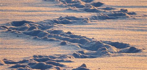 The Top 3 Custom Software Applications For Business Encloud