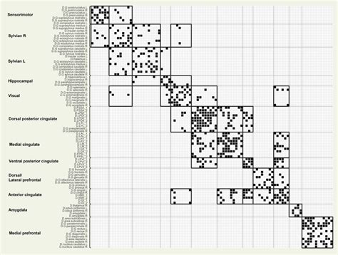 Thresholded Semipartial Correlation Matrix Of The Roi To Roi Download Scientific Diagram
