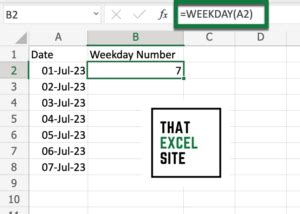 How To Get The Day Of The Week From A Date In Excel That Excel Site