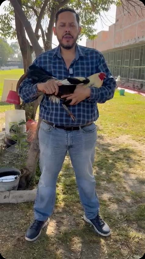 Victor Bugarin Navajas Bugarin • Instagram Photos And Videos