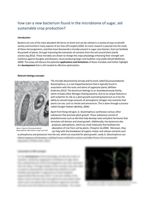 She Task On A New Microbe Found In The Microbiome Of Sugar Biology