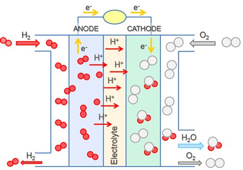 6 Hydrogen Oxygen Fuel Cell Scheme Download Scientific Diagram