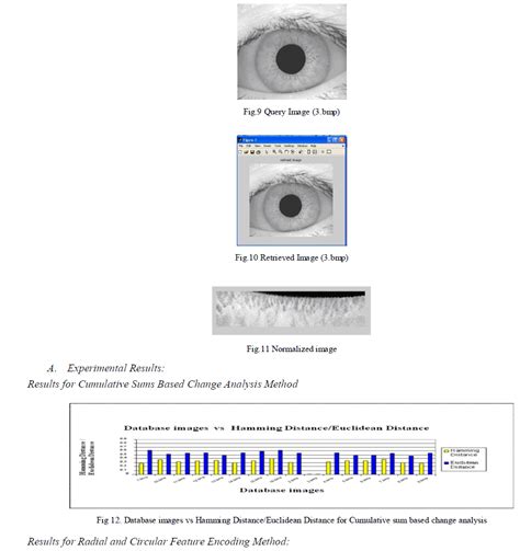 iris recognition using neural network open access journals