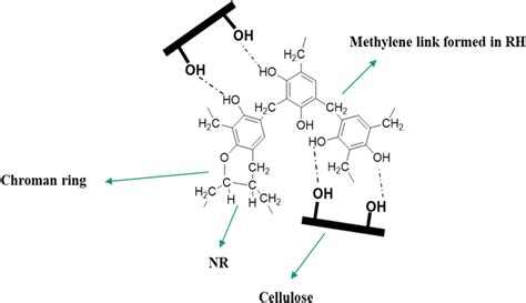 Scheme Of Plausible Reaction Of Composite Formation 20 Download