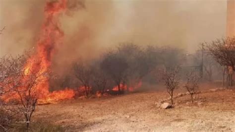 Temporada De Incendios En Mendoza ¿cuántos Hubo En Lo Que Va Del Año