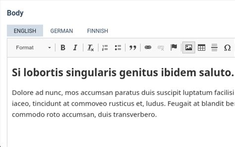 CKEditor Toolbar Problem Getting Started ProcessWire Support Forums