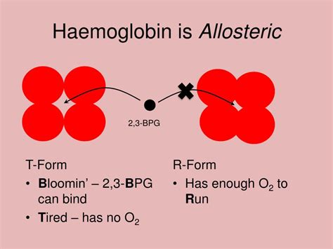 Ppt The Rest Of Medicine In Six Hours Powerpoint Presentation Free