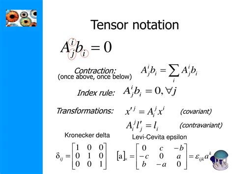 PPT N Linearities And Multiple View Tensors Class PowerPoint Presentation ID