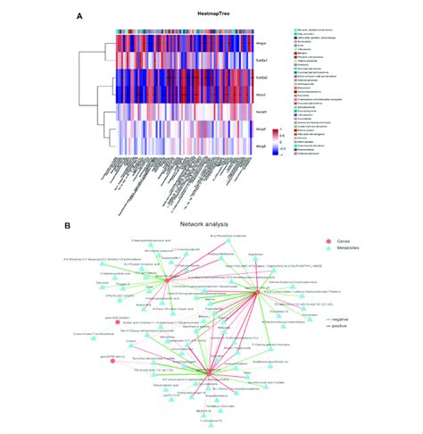 Correlation Analysis Of Metabolic Biomarkers And Degs Based On Spearman Download Scientific