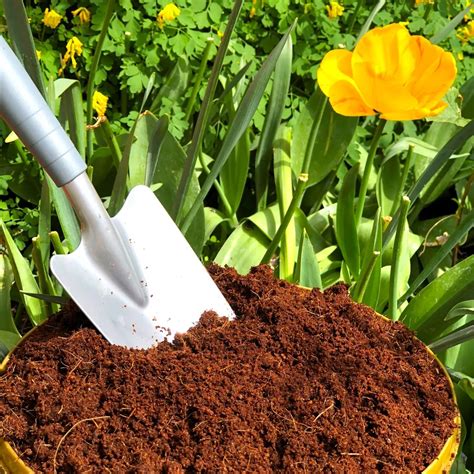 11 Peat Free Compost Brands For Feeding Plants Without 44 Off