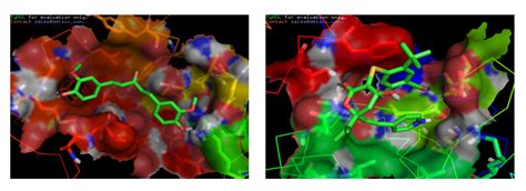 3d View Of The Binding Conformation Of The Molecule 7 And 8 At The Active