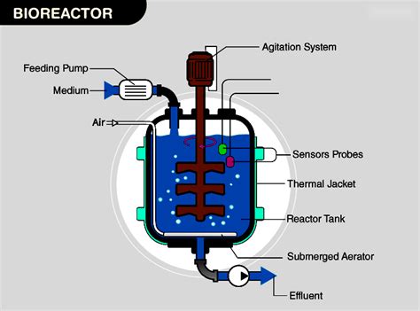 Bioreactor Obtaining The Foreign Gene Product Recombinant Dna
