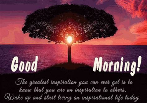 Good Morning Sunrise  Good Morning Sunrise Discover And Share S