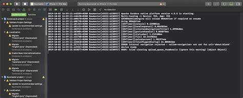 Requests And Internet Access Is Blocked In My Vuejs Cordova App On