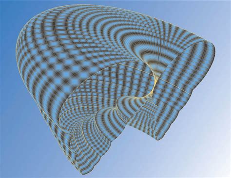 Spirals The Fibonacci Scales