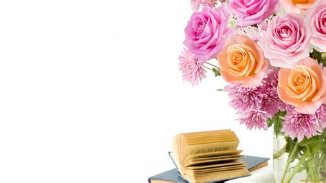 Фон для презентации день учителя вертикальный Zefirka Club фото и картинки