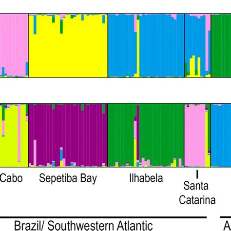 Assignment Coefficients Of The Bayesian Clustering Analysis Provided By