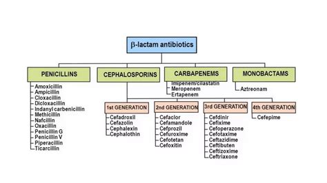 Beta Lactam Antibiotics Pptx
