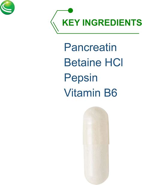 Nutra Biogenesis Panzyme إنيزيمات عمان Ubuy