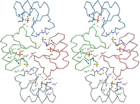 Iucr Structure Of Viscotoxin A3 Di­sulfide Location From Weak Sad Data