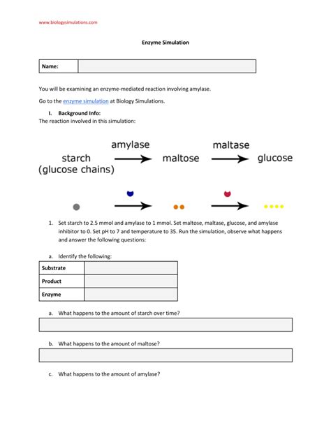 Enzyme Simulation Worksheet Amylase Activity