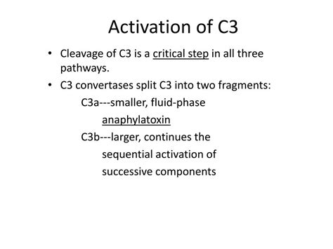 PPT The Complement System PowerPoint Presentation Free Download ID 1936111