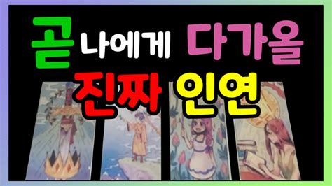 타로연애운 곧 나에게 다가올 진짜 인연 썸솔로짝사랑재회커플 Youtube