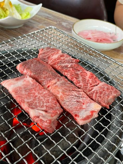 안동맛집 한우맛집 안동갈비골목 소고기맛집 안동촌갈비 네이버 블로그