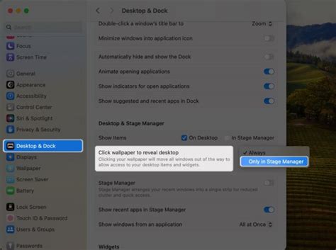 How To Disable Click Wallpaper To Reveal Desktop On MacOS Sonoma IGeeksBlog