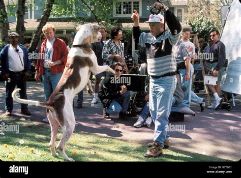 Homeward Bound Ii Lost In San Francisco Year 1996 Usa Director David